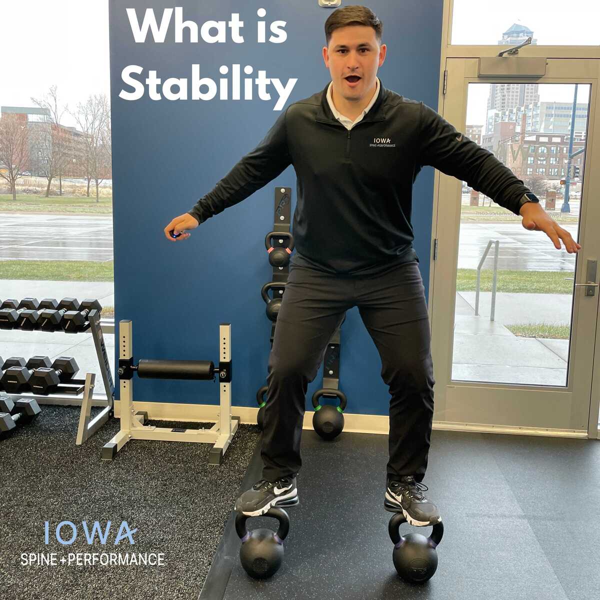 Spinal Stability Series | Vol. 1 What is Stability | Chiropractic ...